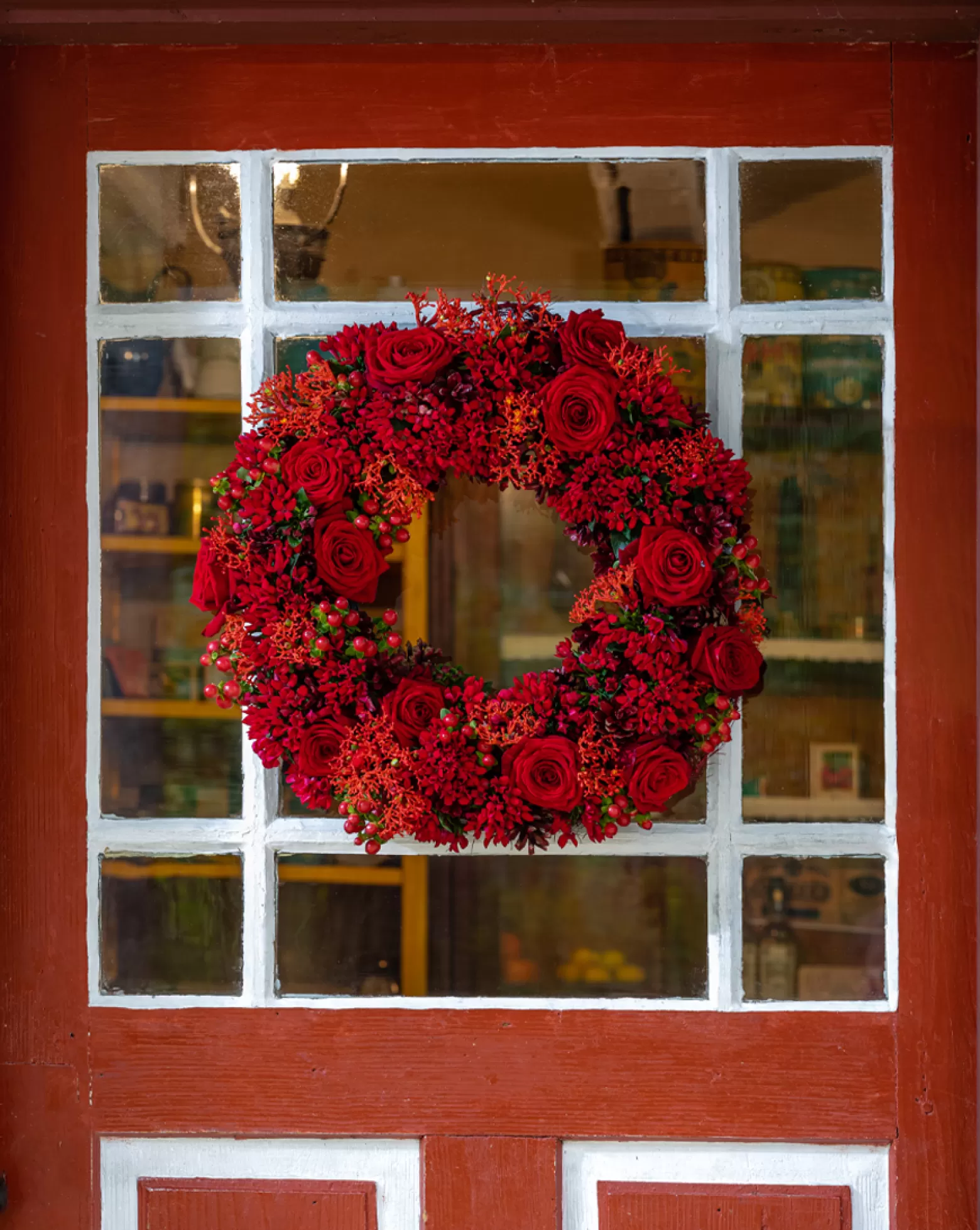 Hypericum Tomato Flair® | Marginpar